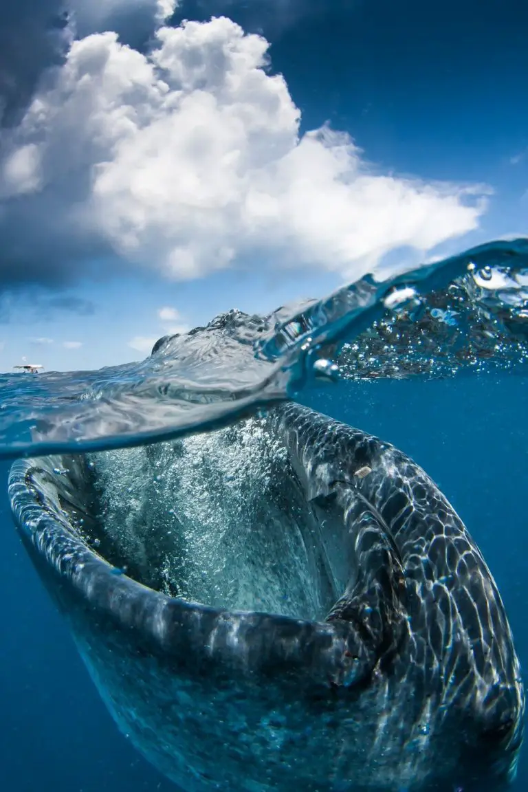 25 de fotografii spectaculoase realizate la granița dintre două lumi