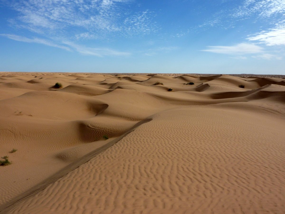 10 lucruri mai puțin cunoscute despre deșertul Sahara