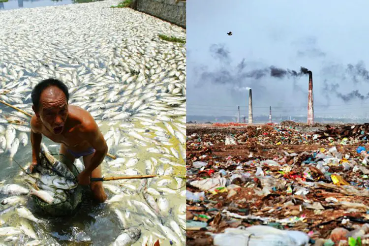 Imagini fascinante cu locul unde Marea Neagră îmbrățișează Dunărea - Omofon