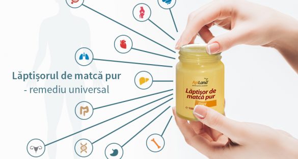 Sănătate și îngrijire – Omofon