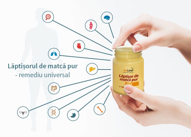 Lăptișorul de matcă pur - 8 funcții vitale pentru organism