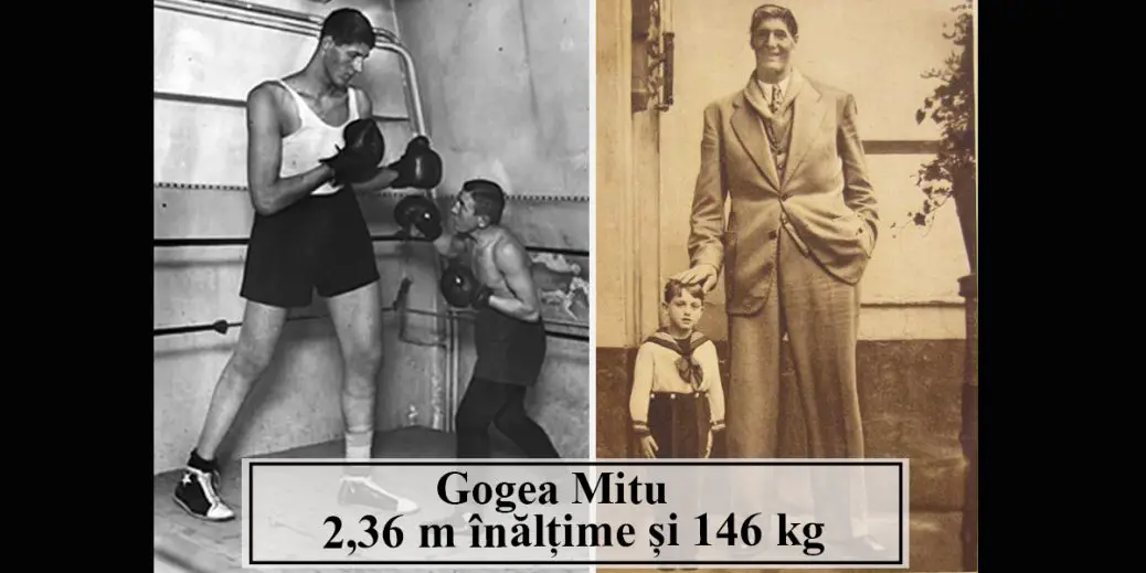 Gogea Mitu: Cel mai înalt român și cel mai mare boxer din istoria sportului