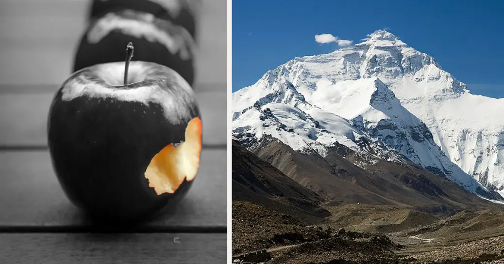 Mărul negru, fructul care crește la 3000 de metri altitudine și este ...