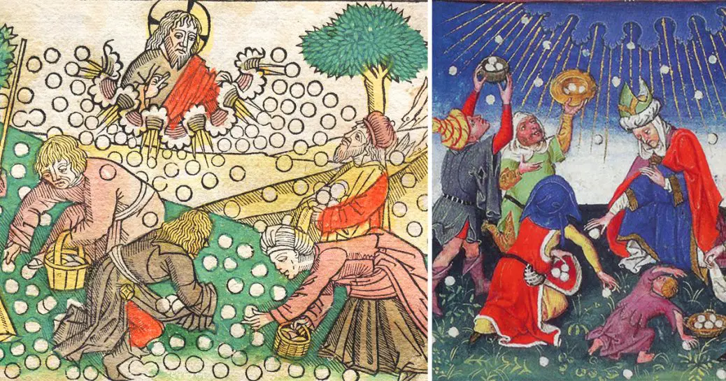 Ce era mana biblică, mâncarea căzută din cer care a hrănit poporul ...