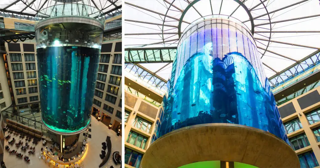 Cel mai mare acvariu cilindric din lume a explodat. Un milion de litri ...